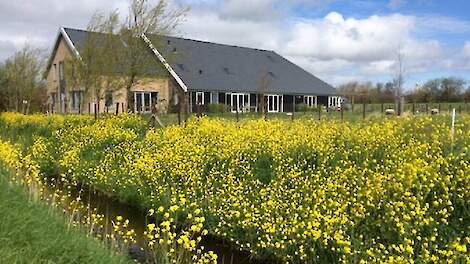 Open dag op Boerderij op Aarde | Agraaf.nl - Landbouwnieuws voor West ...
