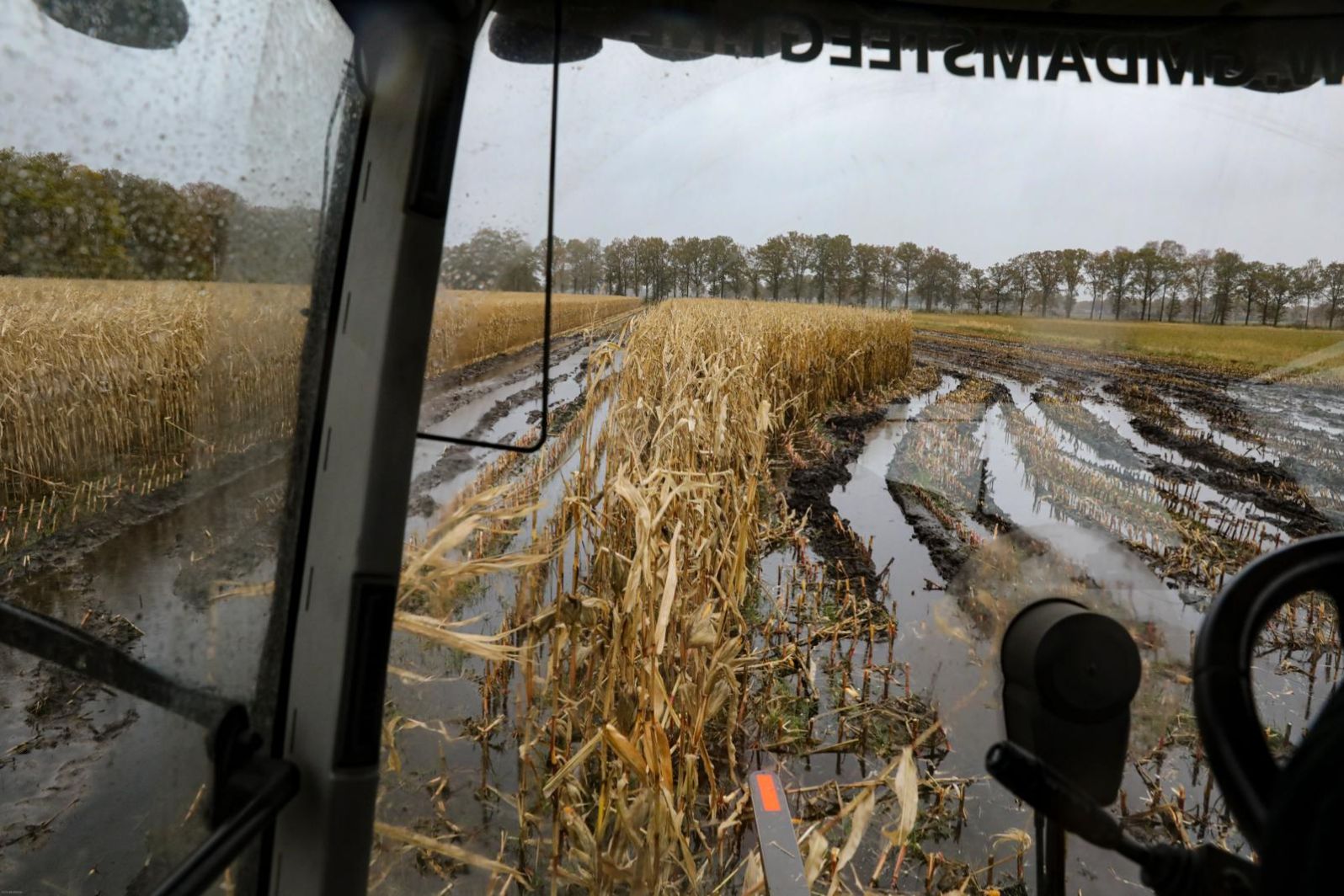 Fotoserie: Maïs oogsten met rupsbanden nabij Boxmeer | Agraaf.nl ...