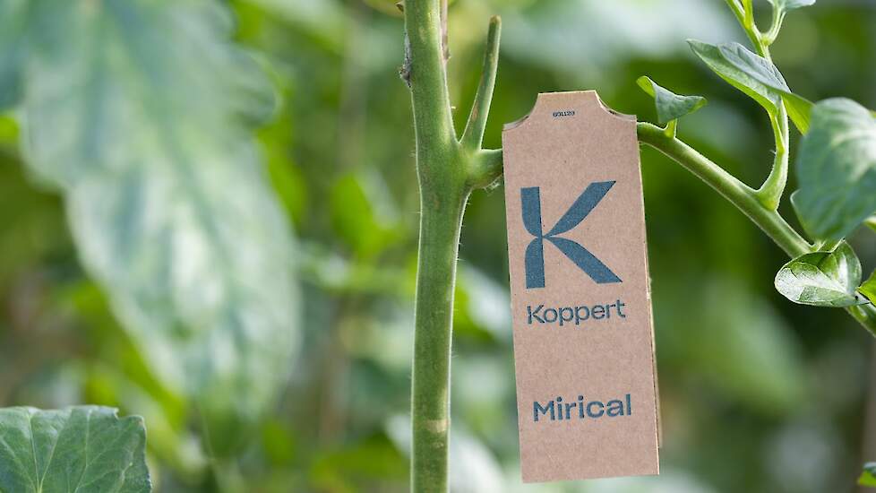 Koppert zoekt leider van buiten | Agraaf.nl - Landbouwnieuws voor West ...